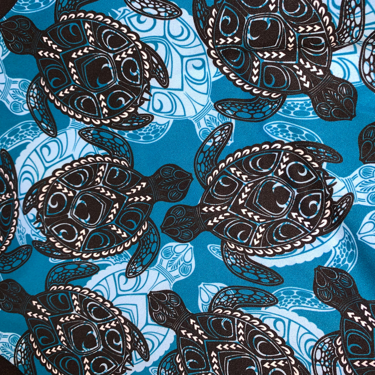 Turtles – GymGear Canada